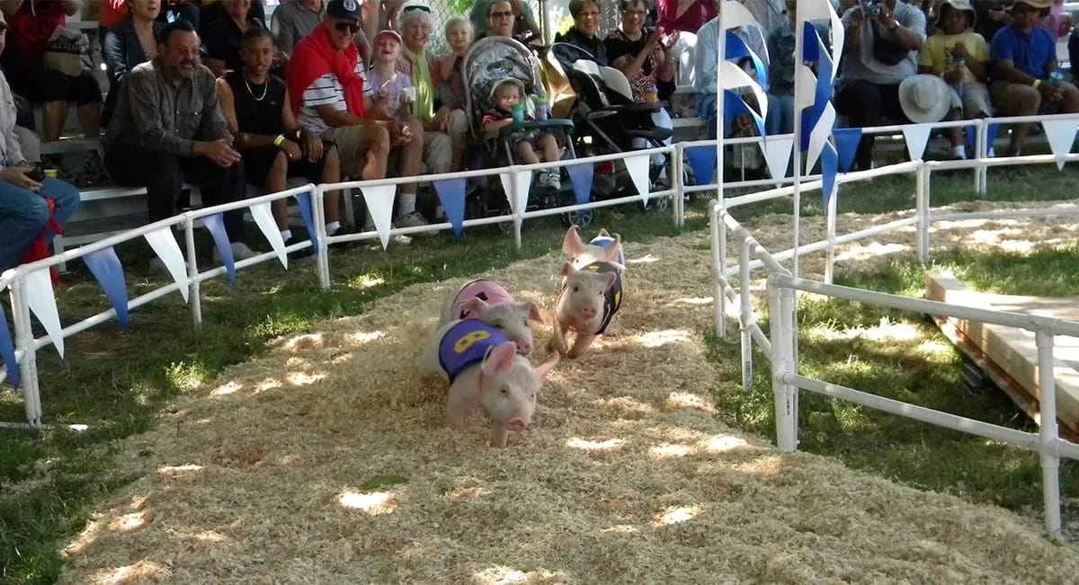 Upcoming Vallejo Events — Solano County Fair